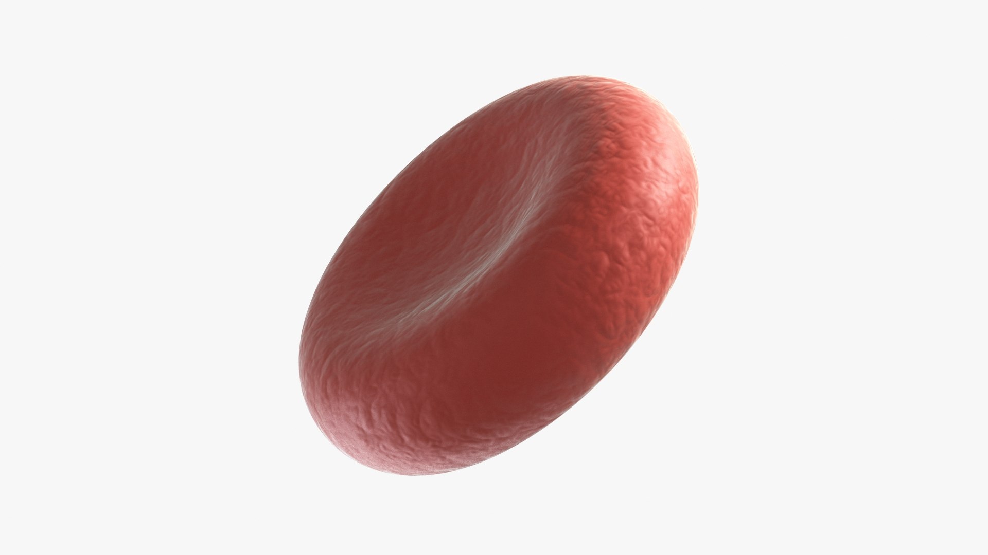 3D Red Blood Cell Model - TurboSquid 1503022