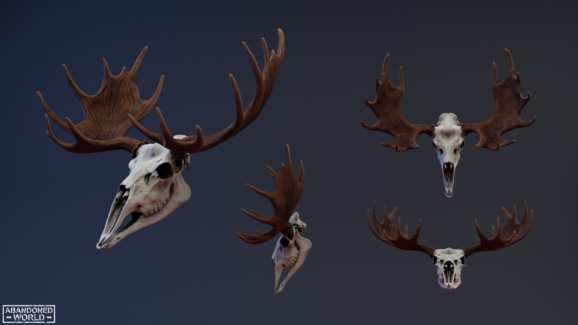3D Moose Skull Model - TurboSquid 2176601