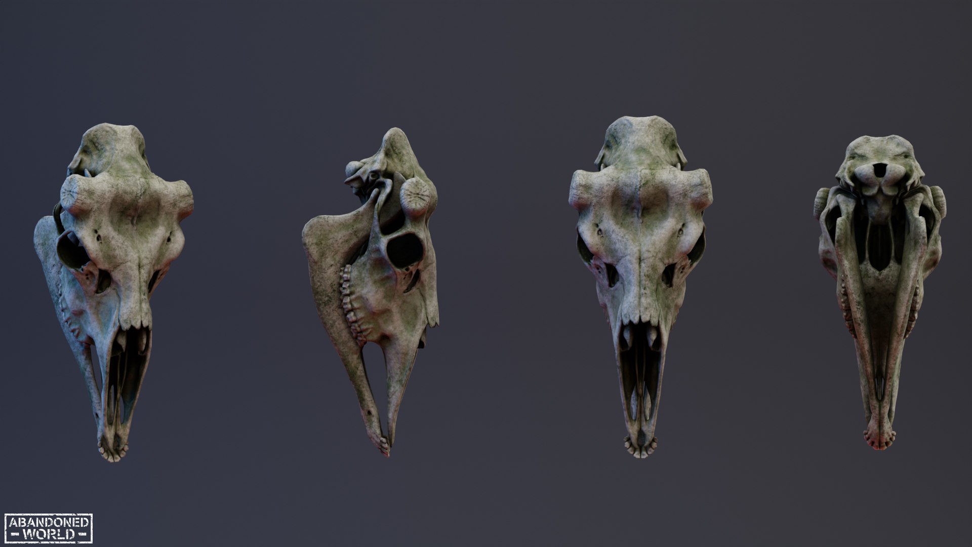 3D Moose Skull Model - TurboSquid 2176601