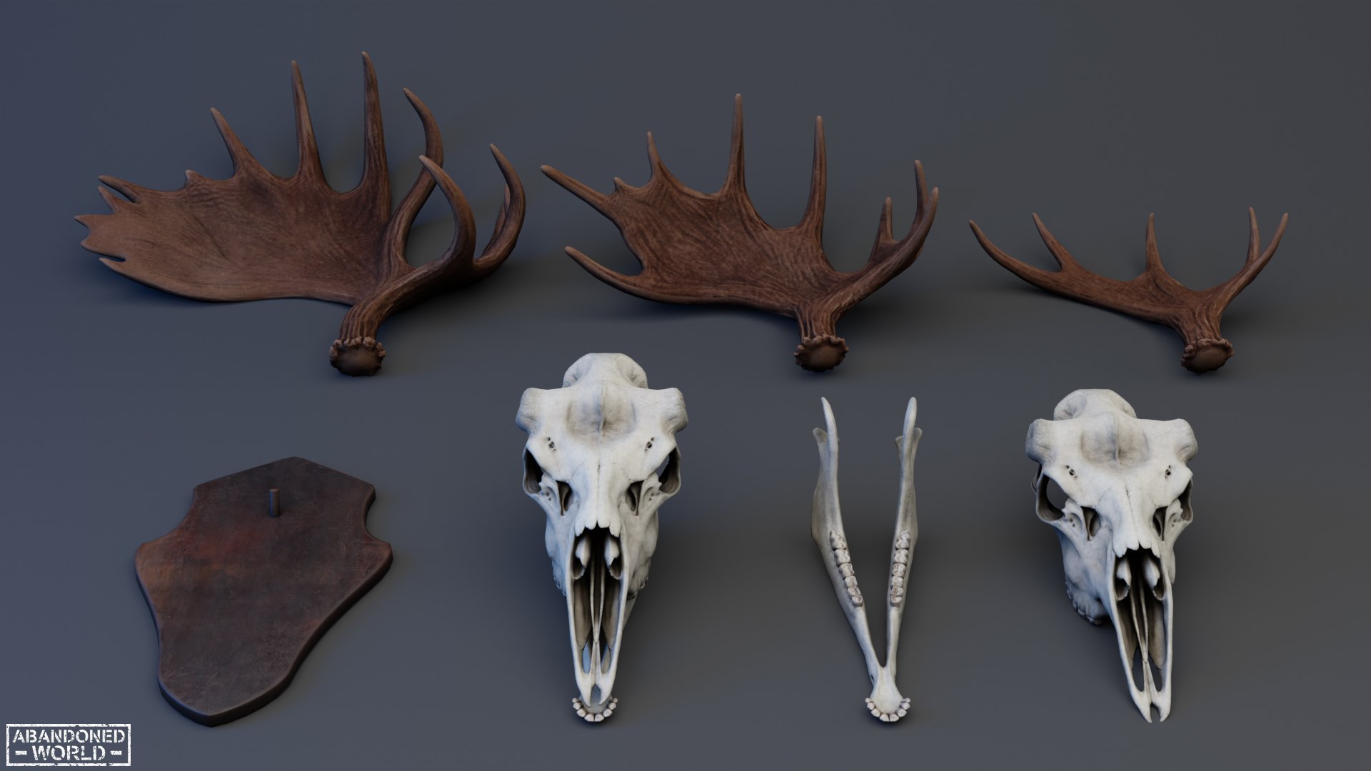 3D Moose Skull Model - TurboSquid 2176601