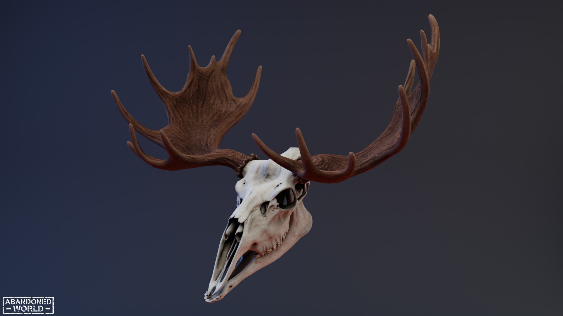3D Moose Skull Model - TurboSquid 2176601