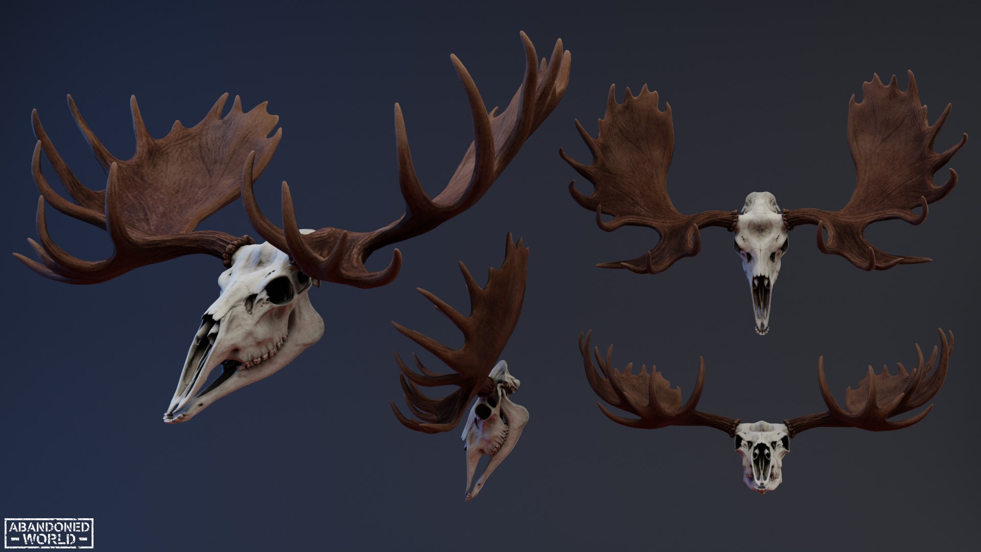 3D Moose Skull Model - TurboSquid 2176601