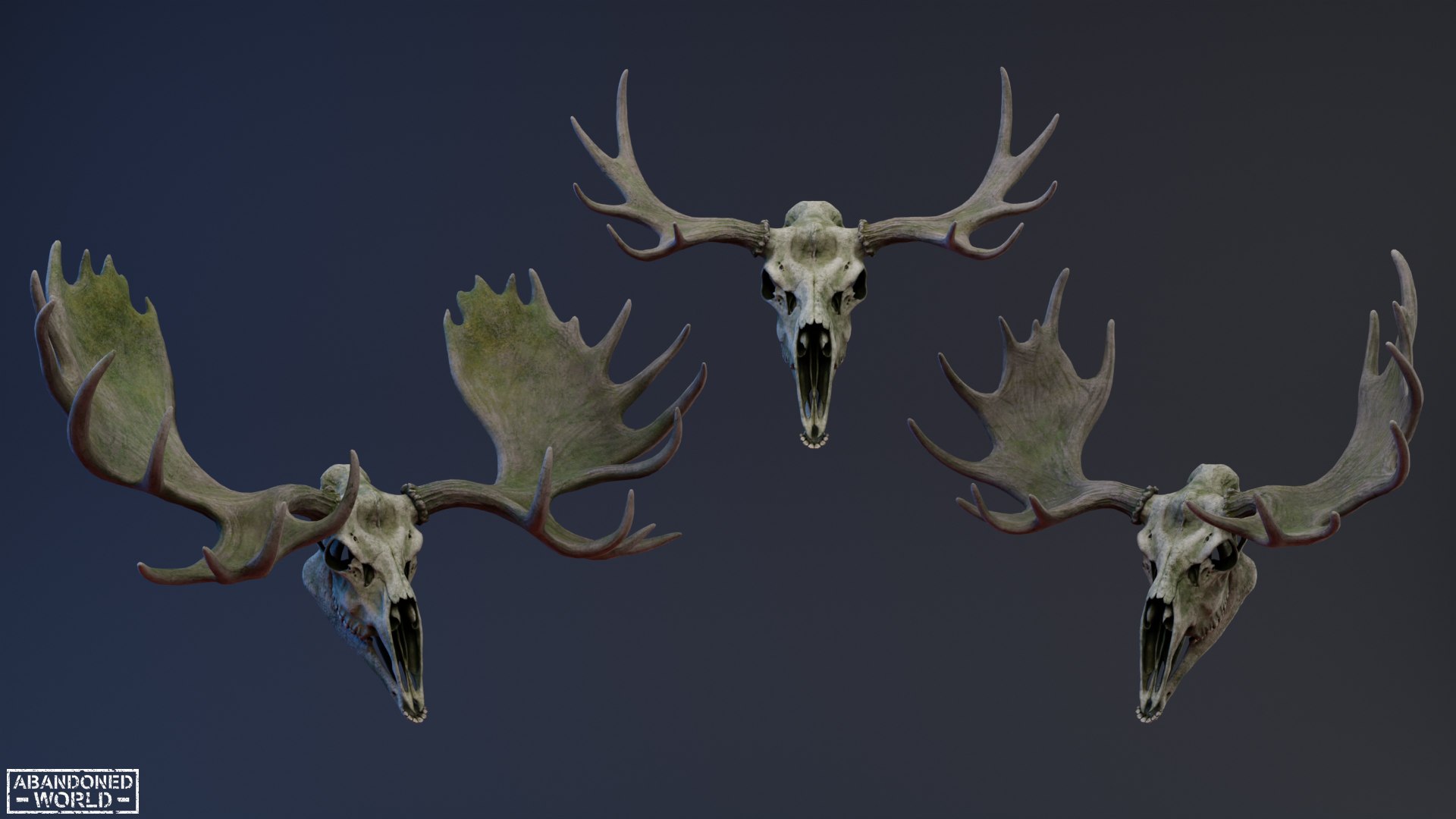 3D Moose Skull Model - TurboSquid 2176601