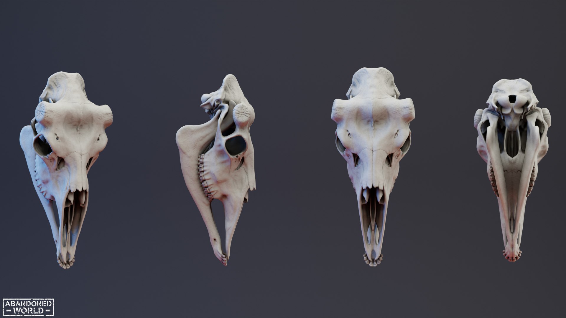 3D Moose Skull Model - TurboSquid 2176601