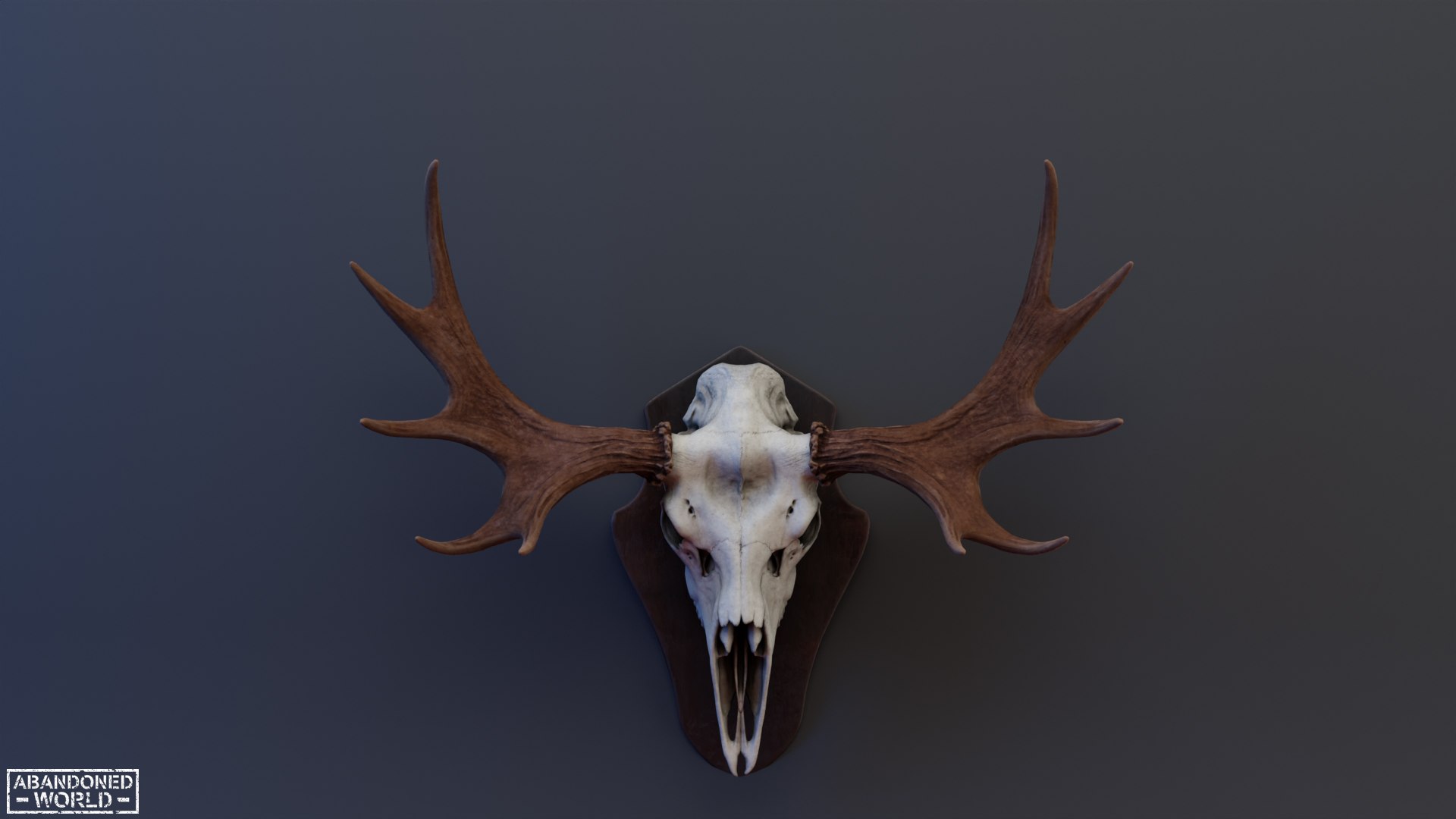 3D Moose Skull Model - TurboSquid 2176601