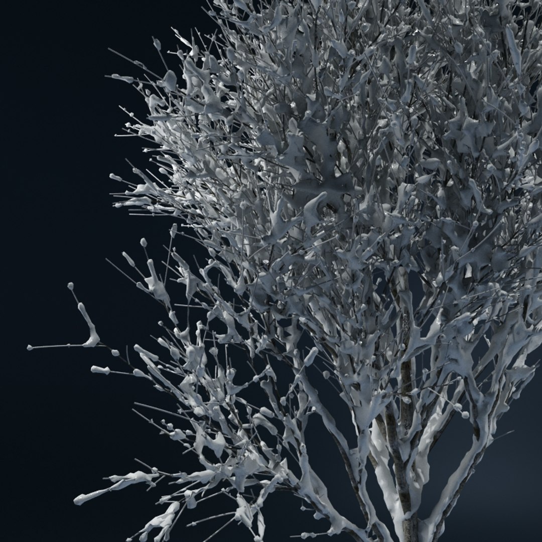 Max Winter Tree V2