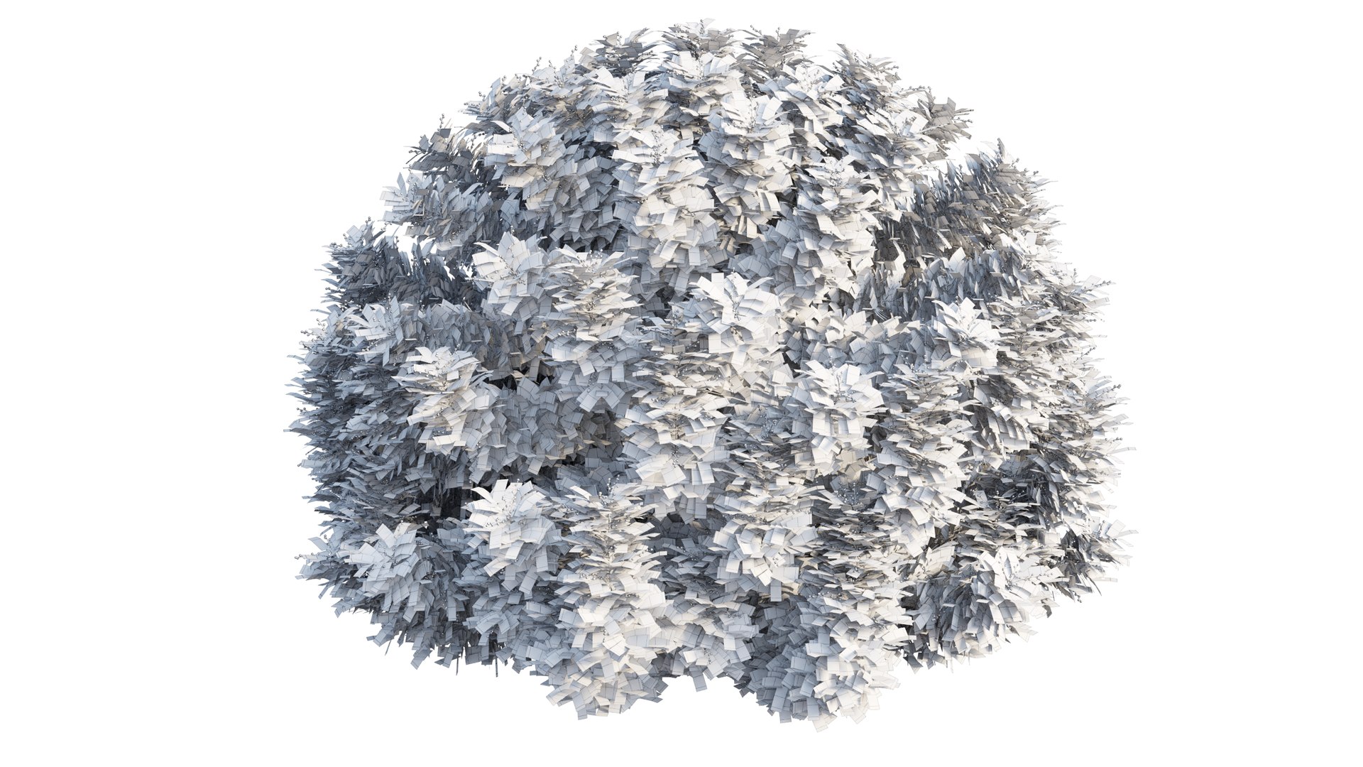 3D Model Aglaia Duperreana Plant Set 06 - TurboSquid 1837346