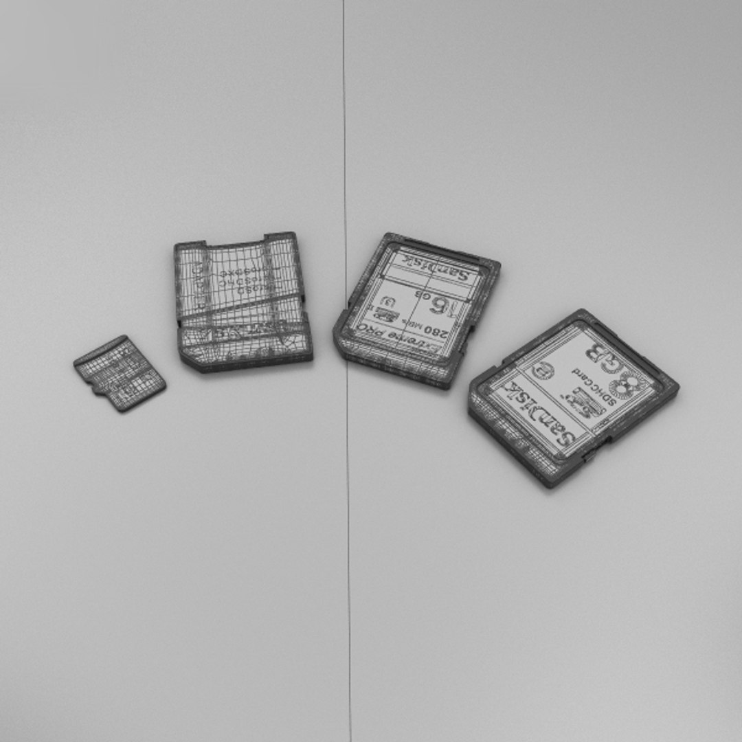 Sd Card Set 3D Model - TurboSquid 1369883