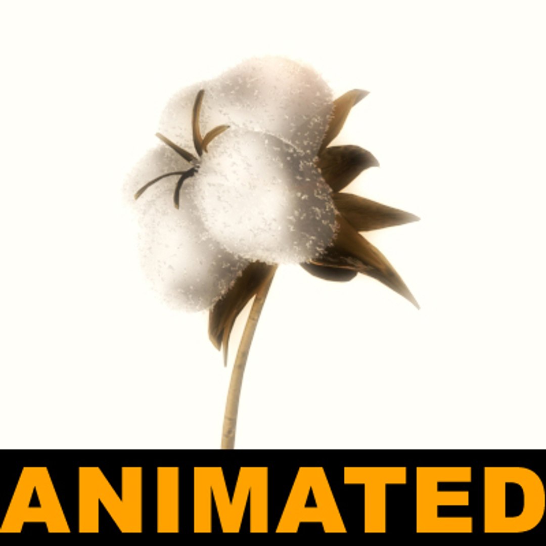 3d Model Cotton Stop Motion