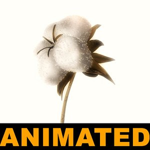 Free 3D Cotton Models | TurboSquid