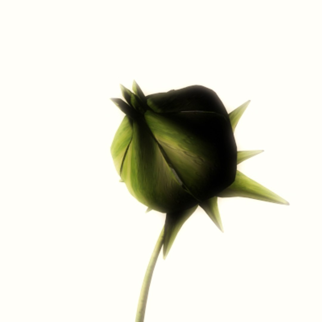 3d Model Cotton Stop Motion