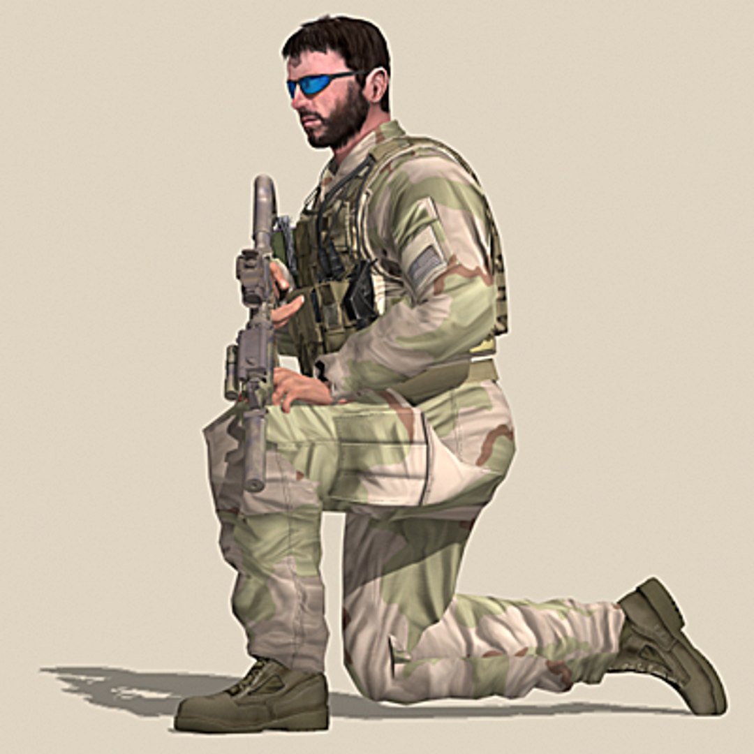 seal asds team 1 3d model