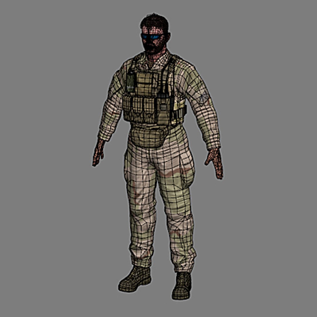 seal asds team 1 3d model