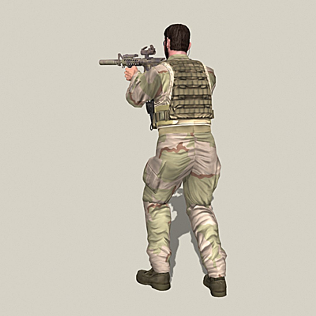 seal asds team 1 3d model