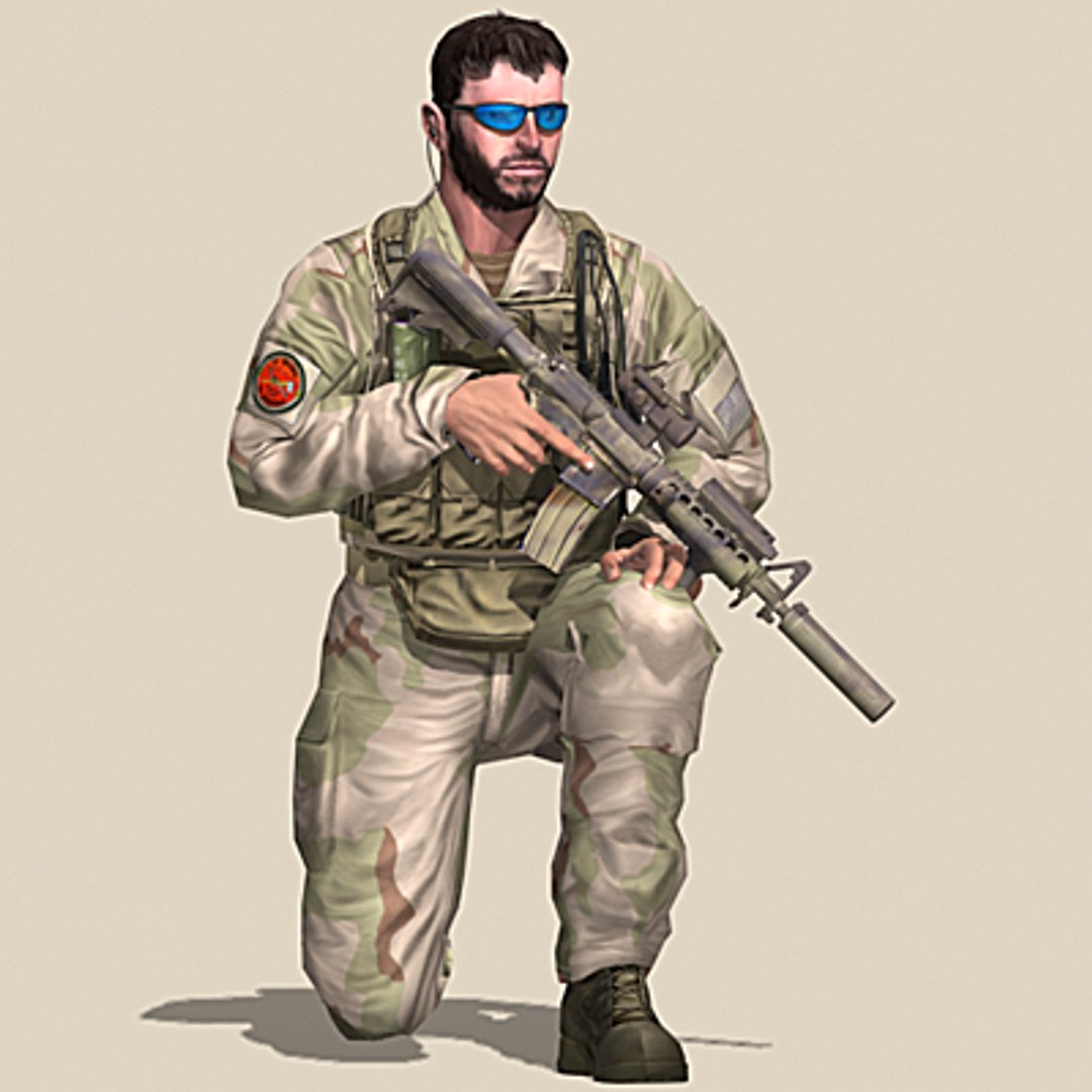 seal asds team 1 3d model