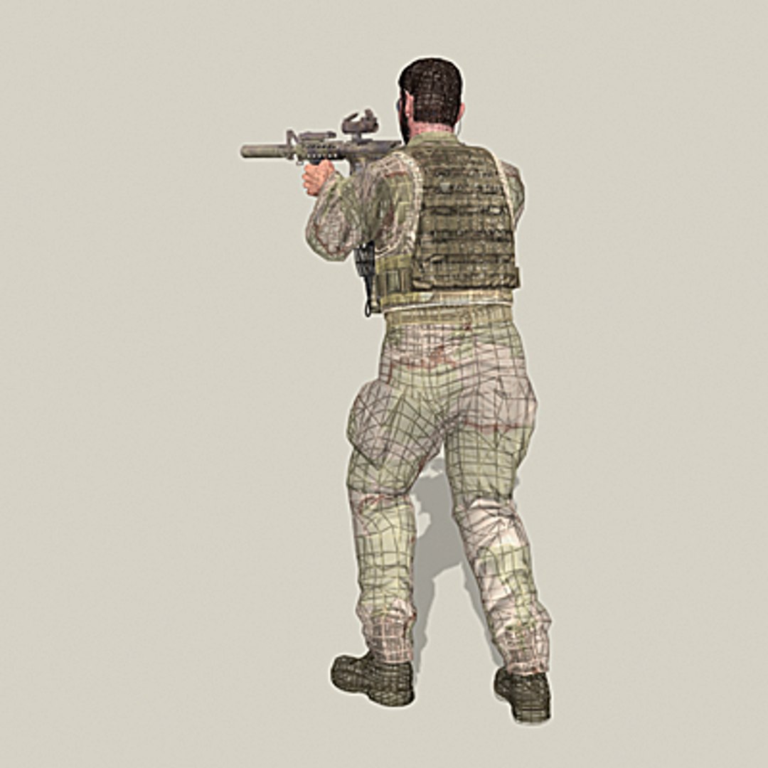 seal asds team 1 3d model