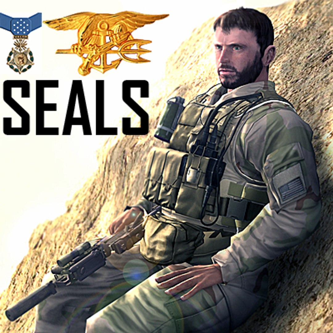 seal asds team 1 3d model