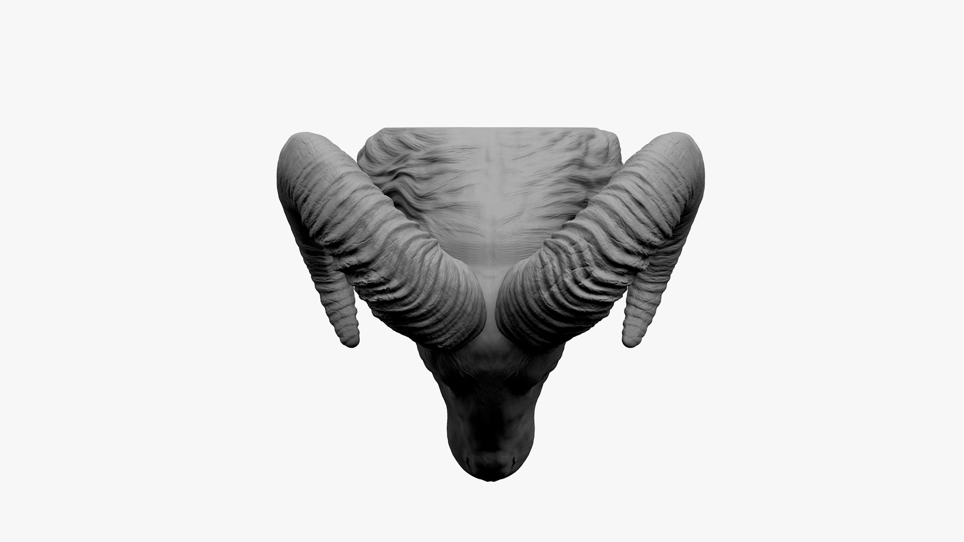 Ram Head 3D - TurboSquid 2123803