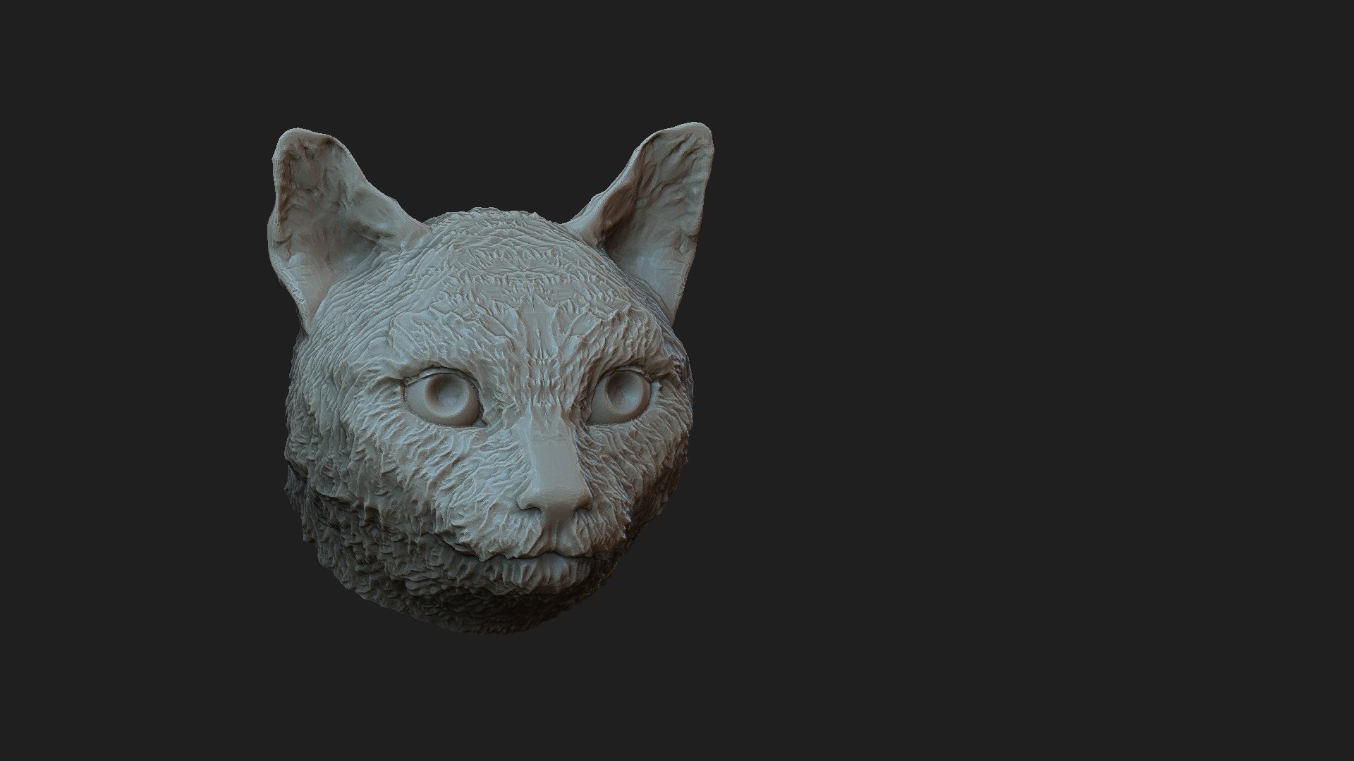 3D Cat Head Model - TurboSquid 2213012