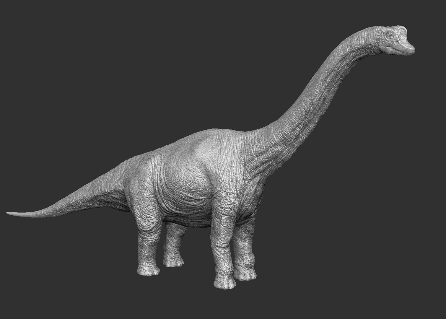 Brachiosaurus 3D model - TurboSquid 1294674