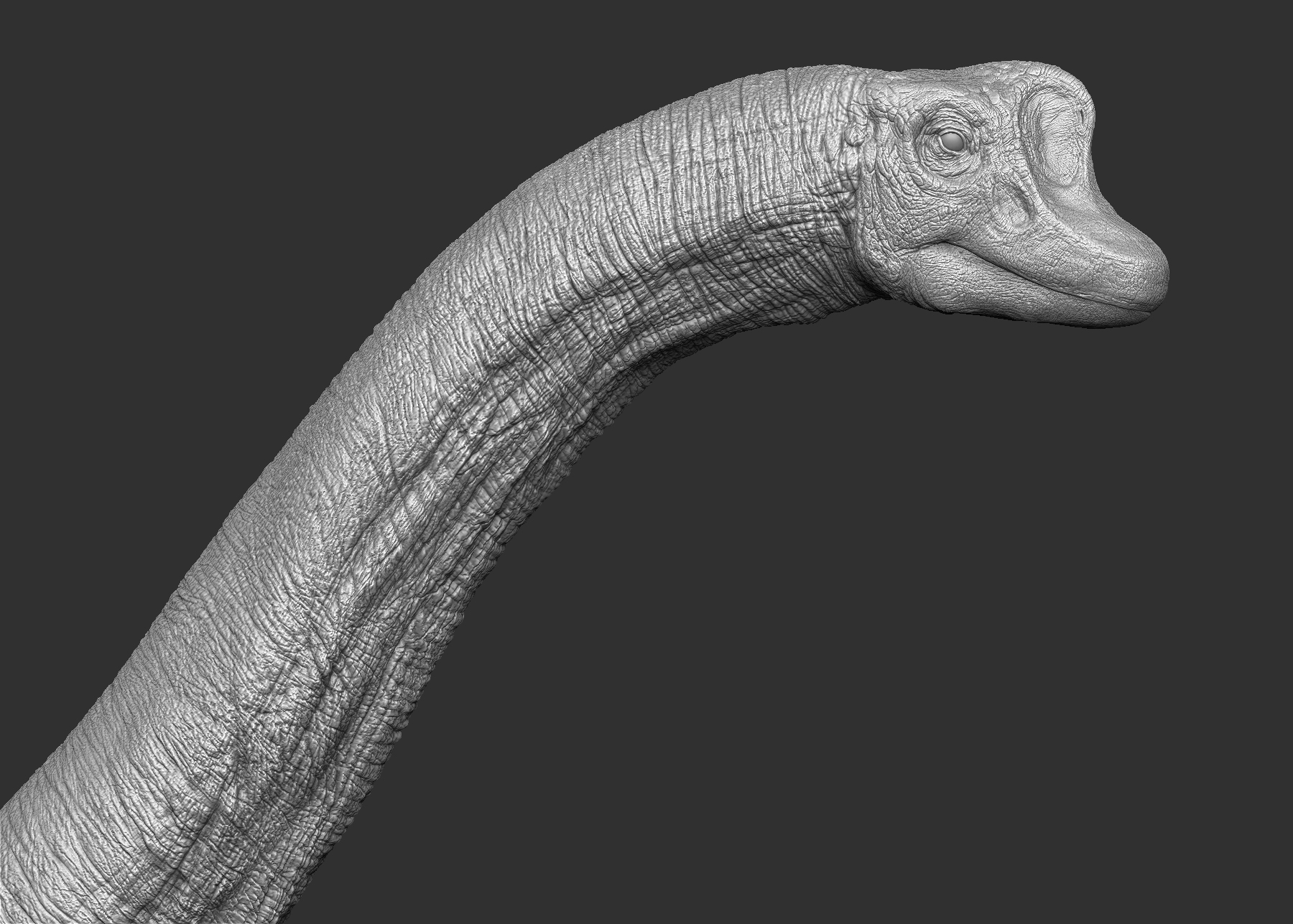 Brachiosaurus 3D model - TurboSquid 1294674