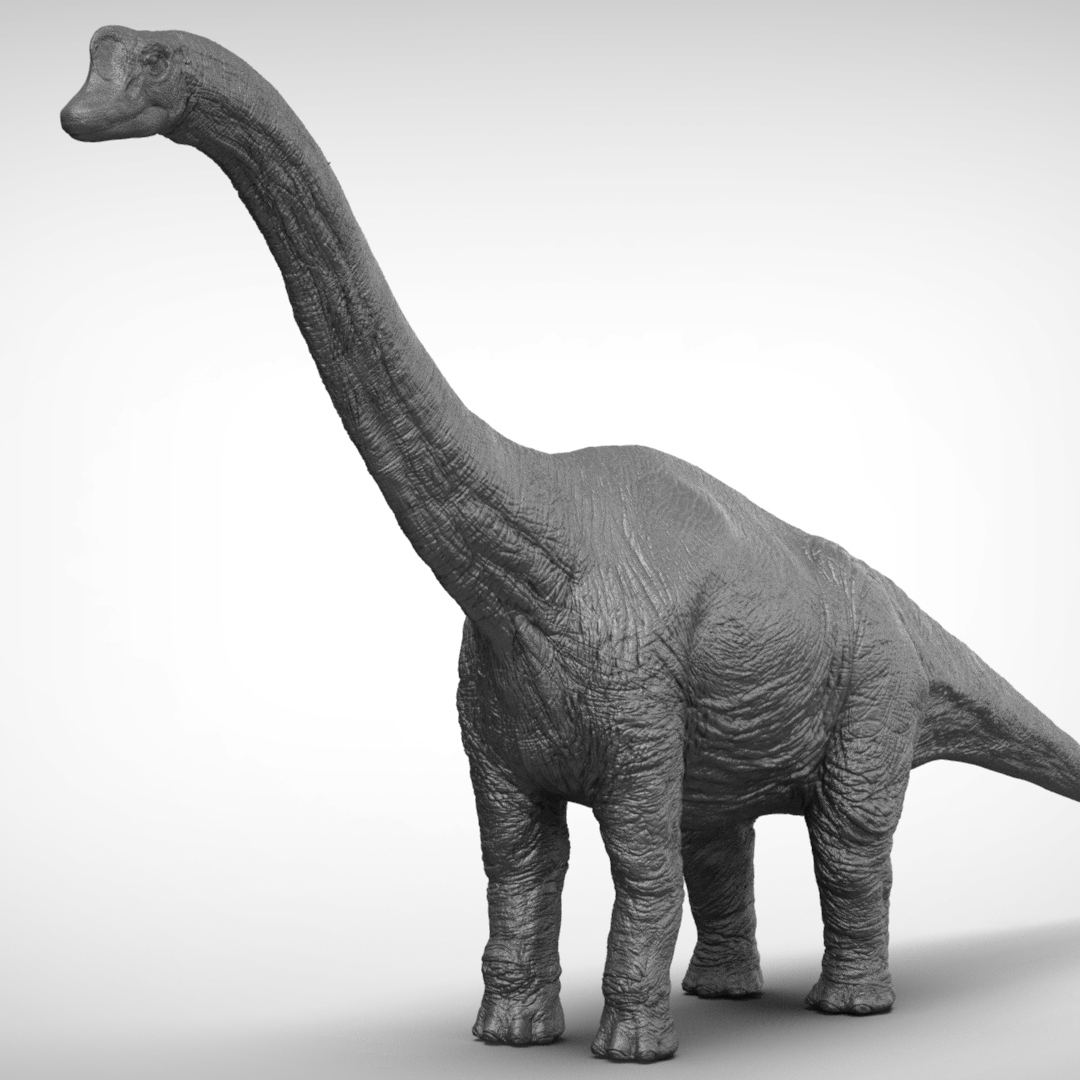 Brachiosaurus 3D model - TurboSquid 1294674