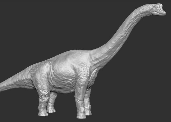 Brachiosaurus 3D model - TurboSquid 1294674
