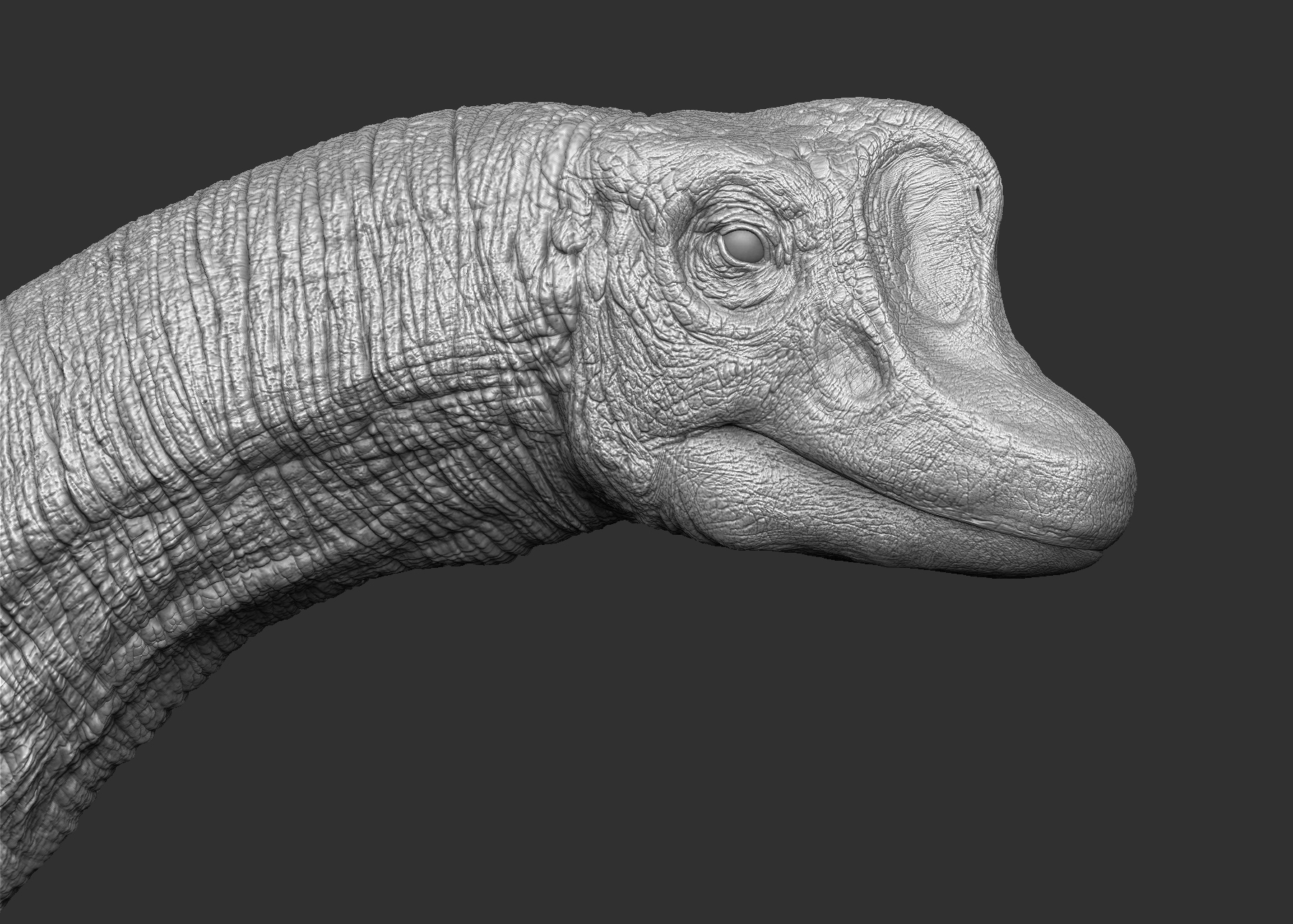 Brachiosaurus 3D model - TurboSquid 1294674