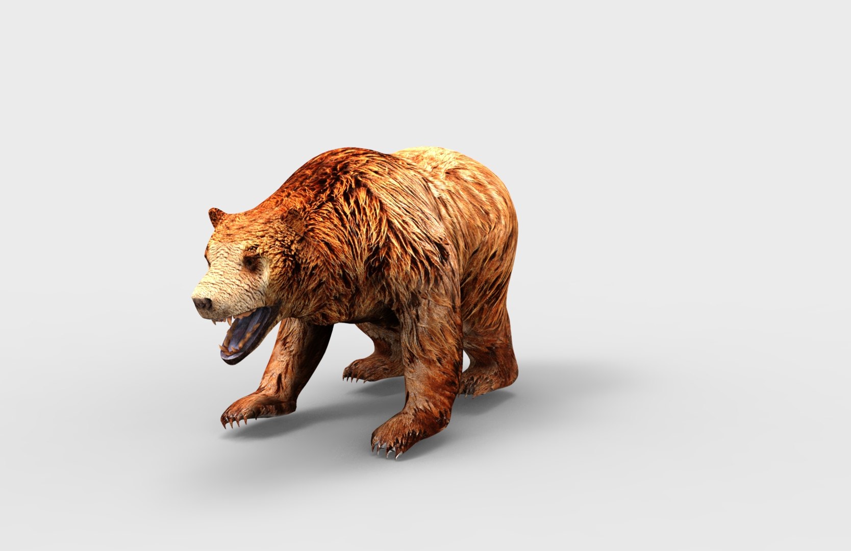 3D Bear Rigged Model - TurboSquid 1254507