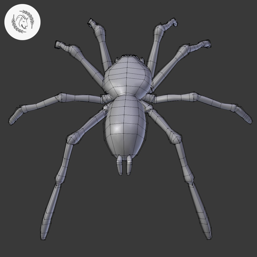 Spider Tarantula 3D Model - TurboSquid 1231680