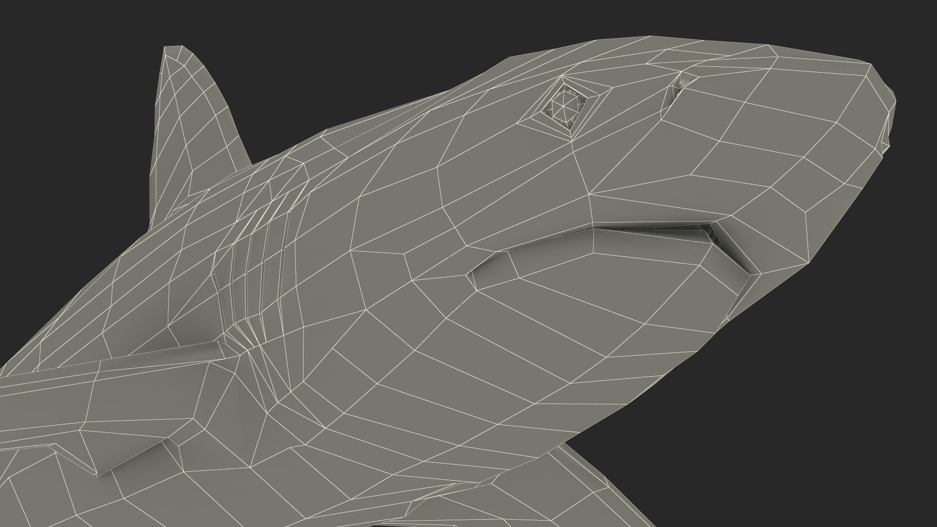 3D Realistic Dusky Shark Rigged - TurboSquid 2264736