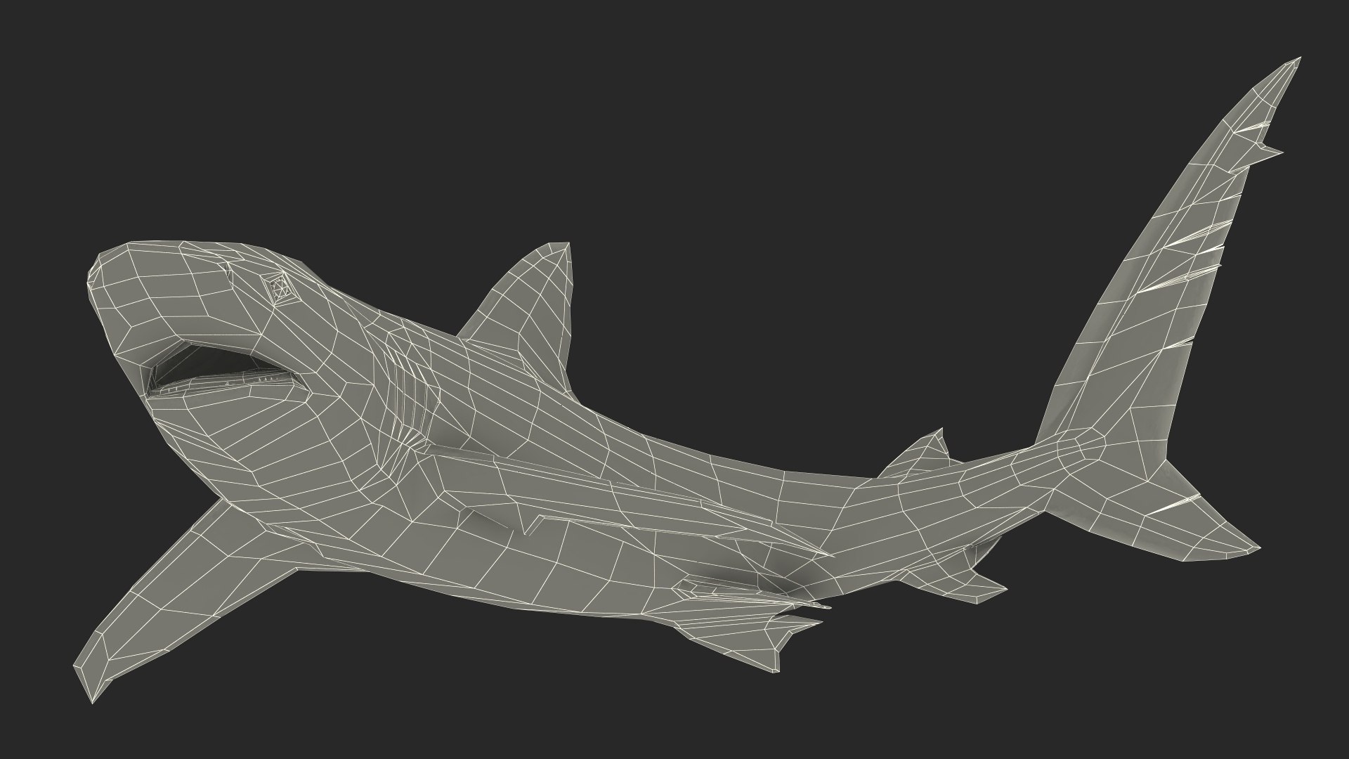 3D Realistic Dusky Shark Rigged - TurboSquid 2264736