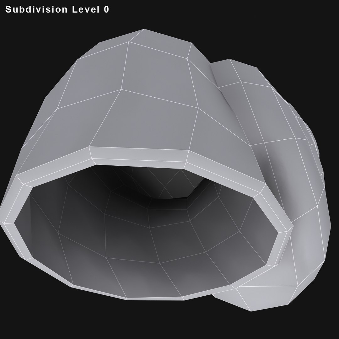 3d Snail Shell Model
