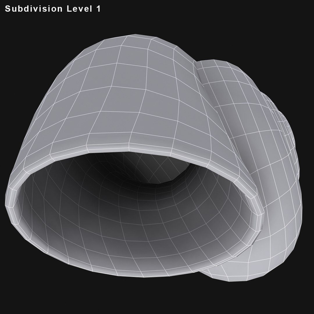 3d Snail Shell Model