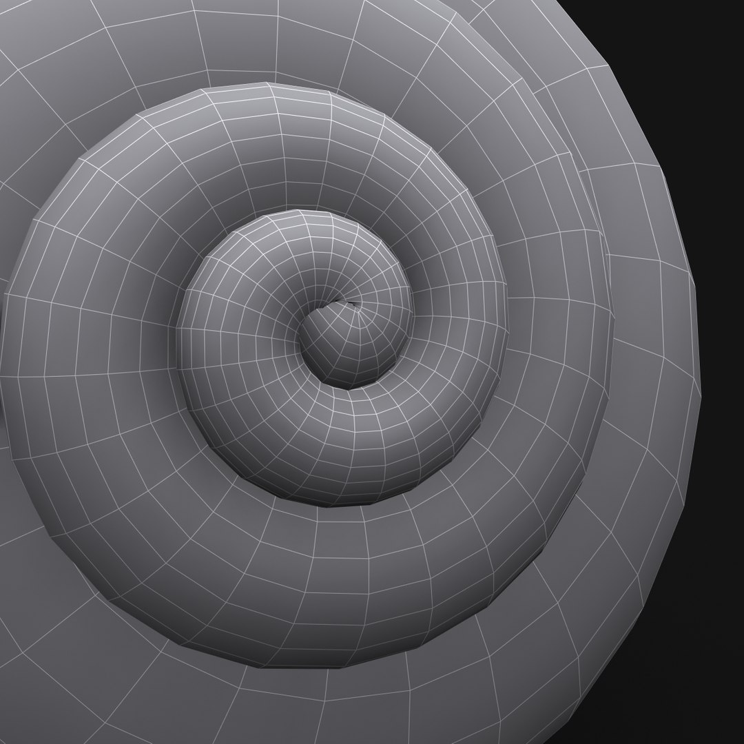 3d Snail Shell Model