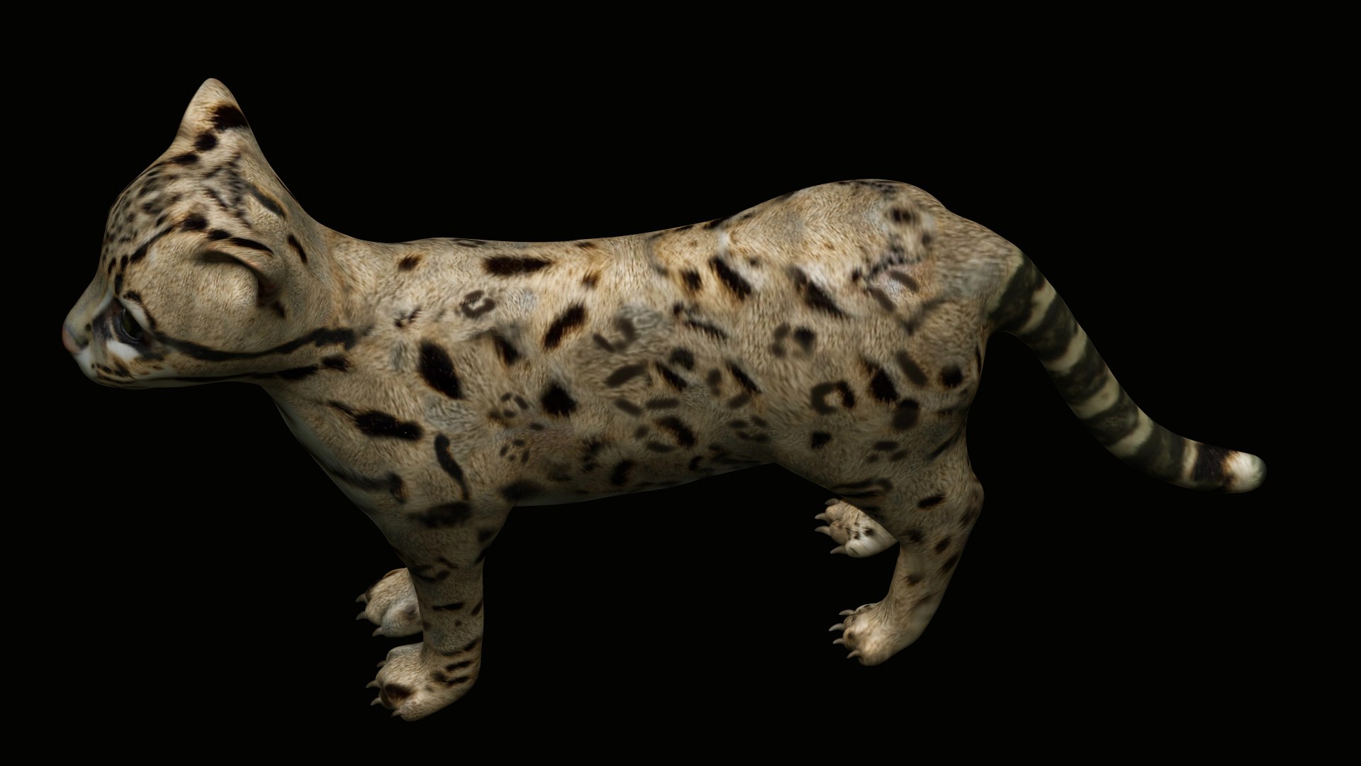 Fully Rigged Ocelot 3D Model - TurboSquid 1705339