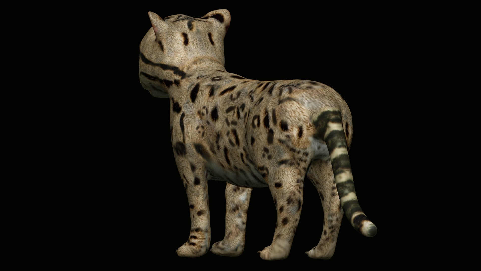 Fully Rigged Ocelot 3D Model - TurboSquid 1705339