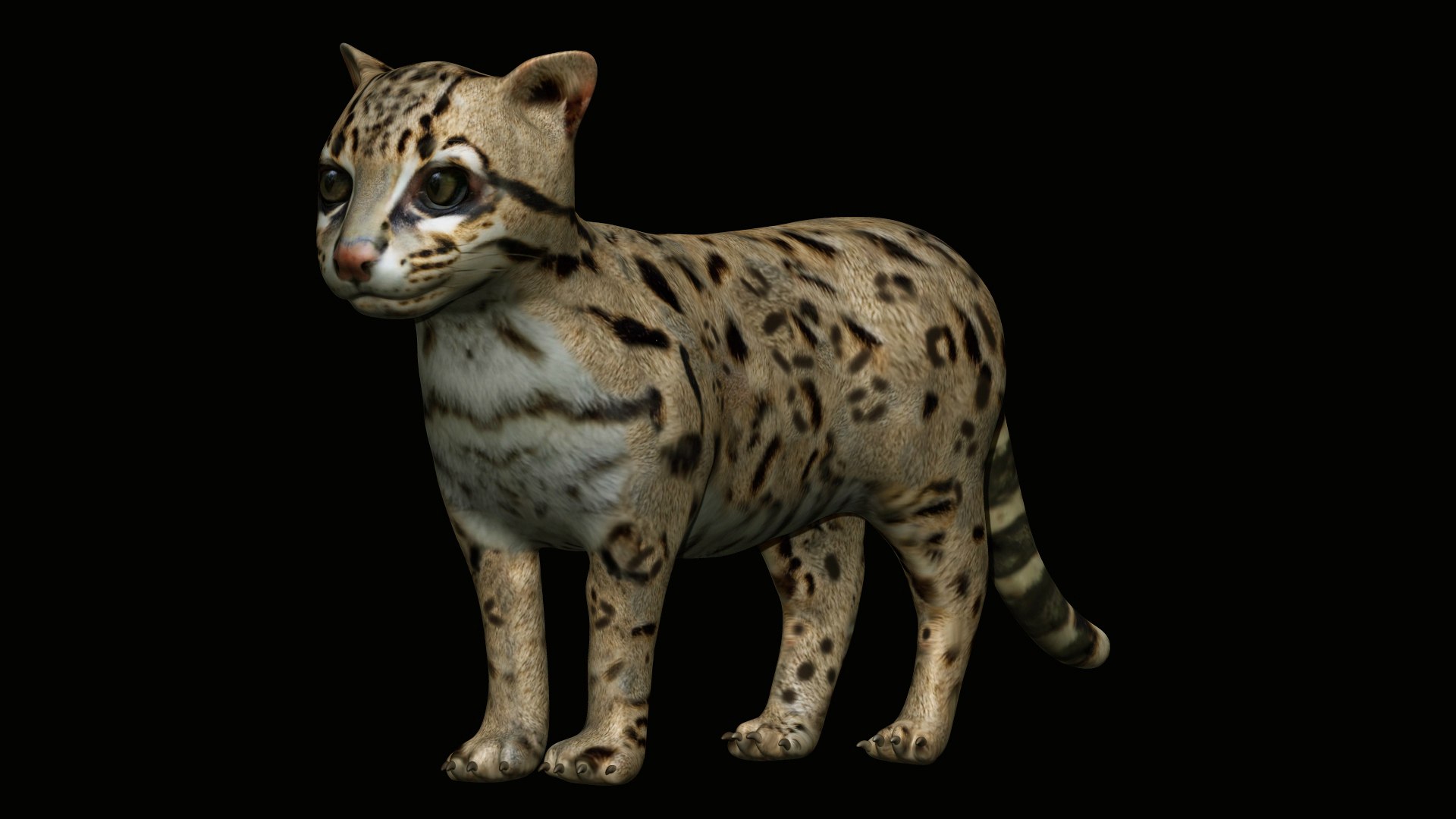 Fully Rigged Ocelot 3D Model - TurboSquid 1705339