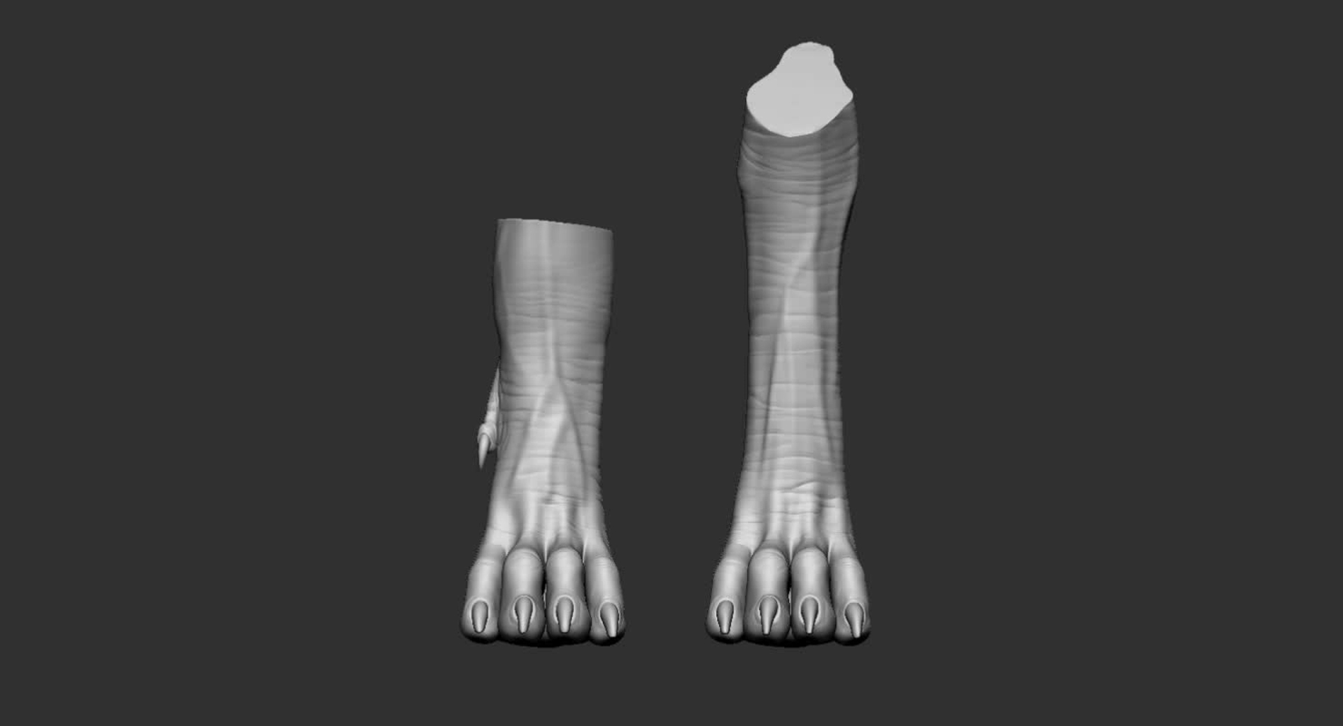 Dog Paw 3D Model - TurboSquid 1523945