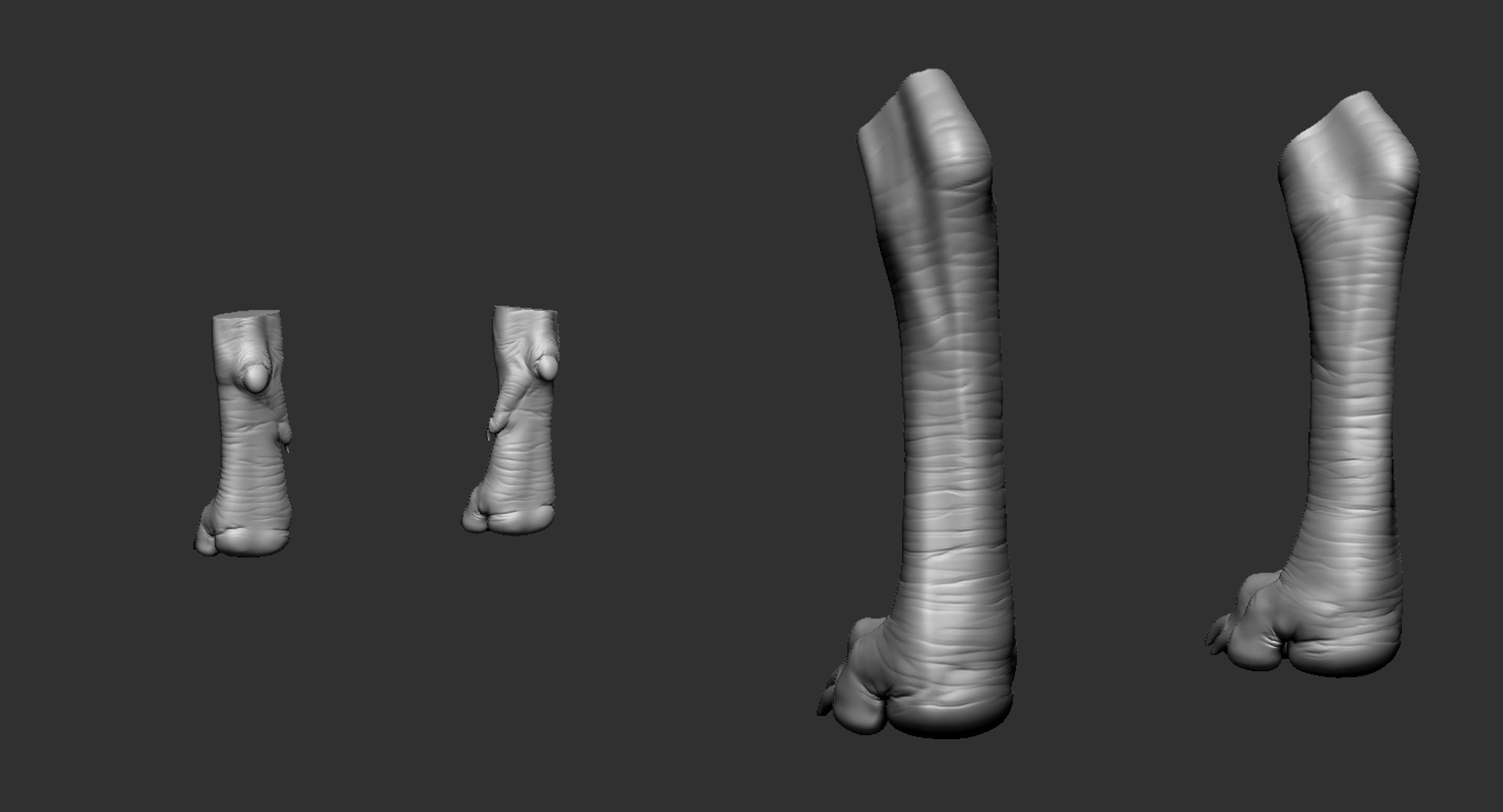 Dog Paw 3D Model - TurboSquid 1523945
