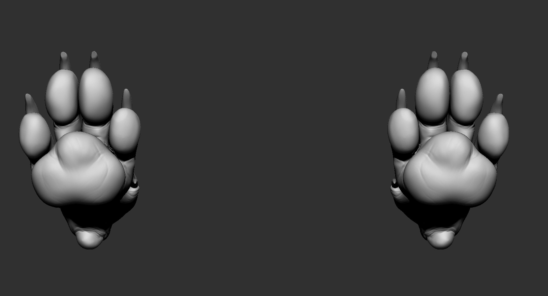 Dog Paw 3D Model - TurboSquid 1523945