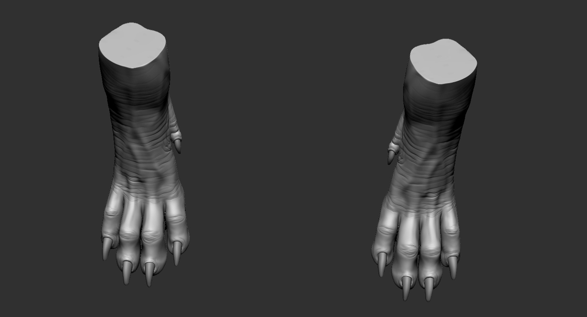 Dog Paw 3D Model - TurboSquid 1523945