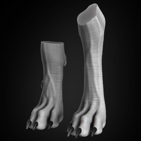3D Paw Models | TurboSquid