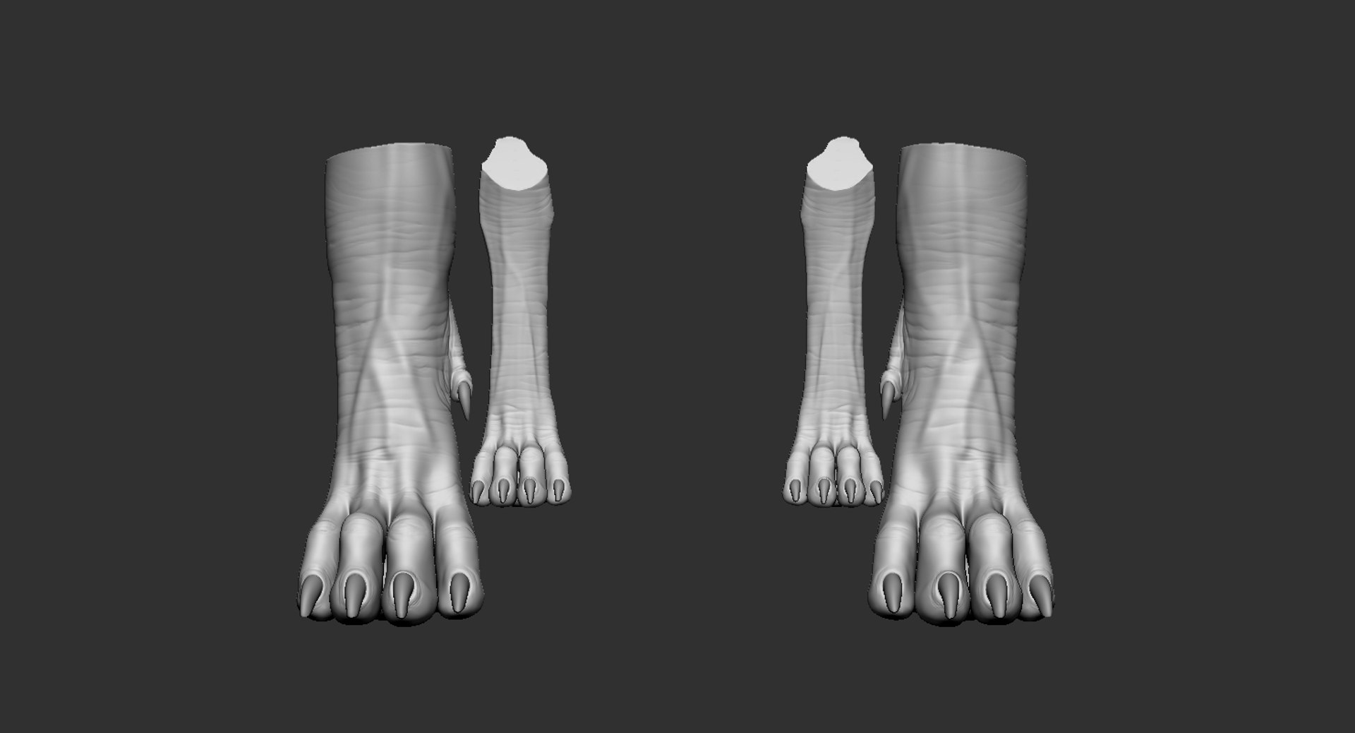 Dog Paw 3D Model - TurboSquid 1523945