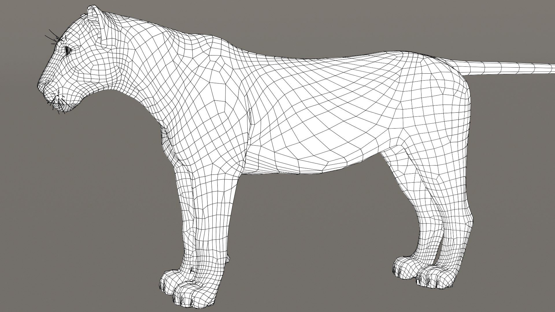 3D Fur Lioness Model - TurboSquid 1439450