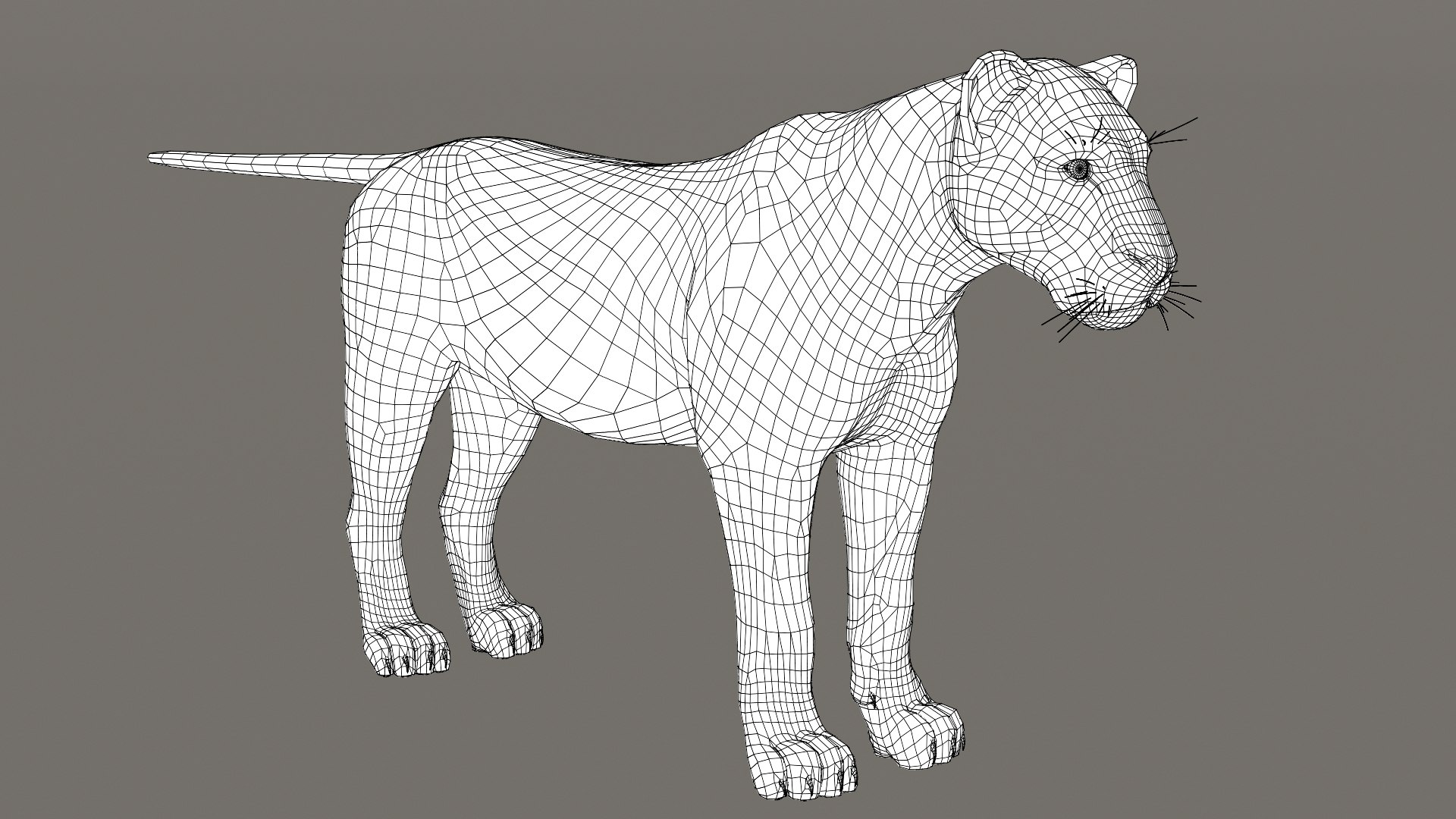 3D Fur Lioness Model - TurboSquid 1439450