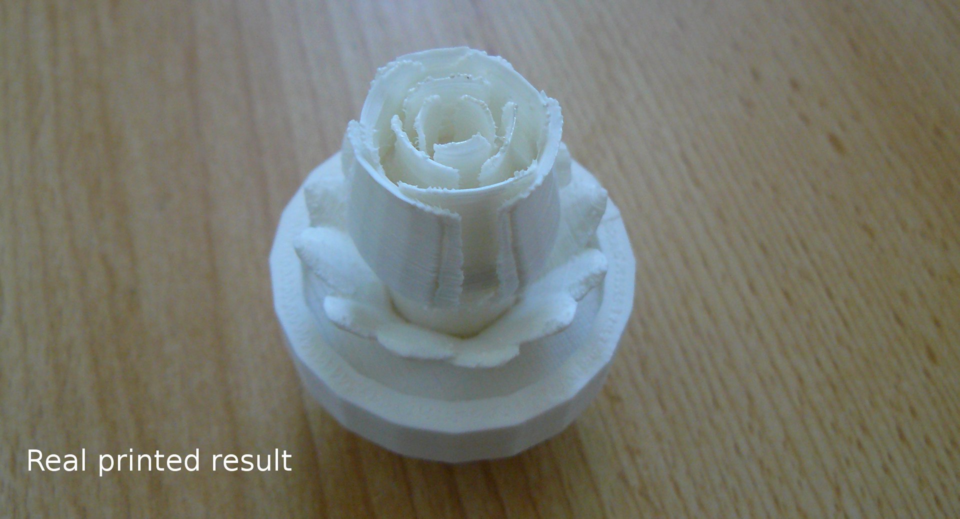 3D Flower - Printable - TurboSquid 1875057