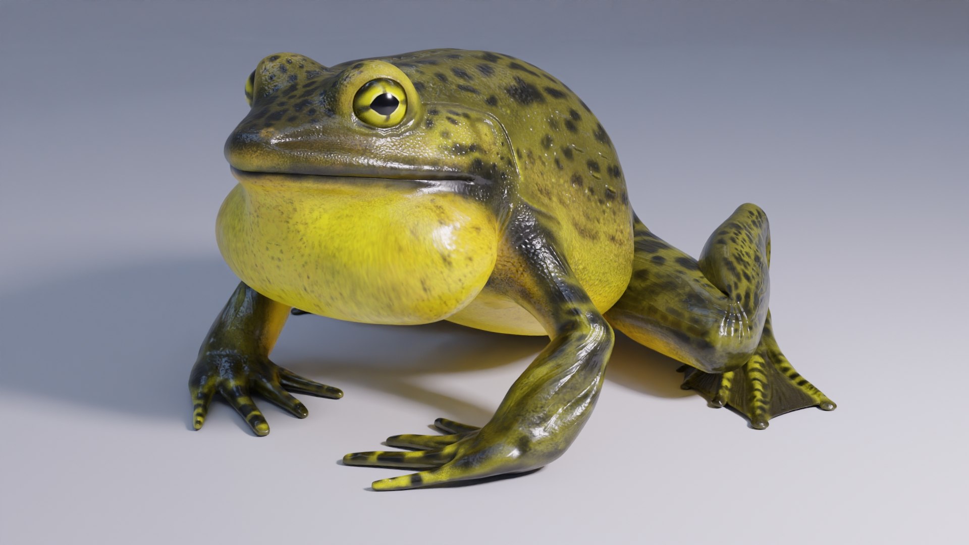 Goliath Bullfrog - Rigged 3D Model - TurboSquid 2031798