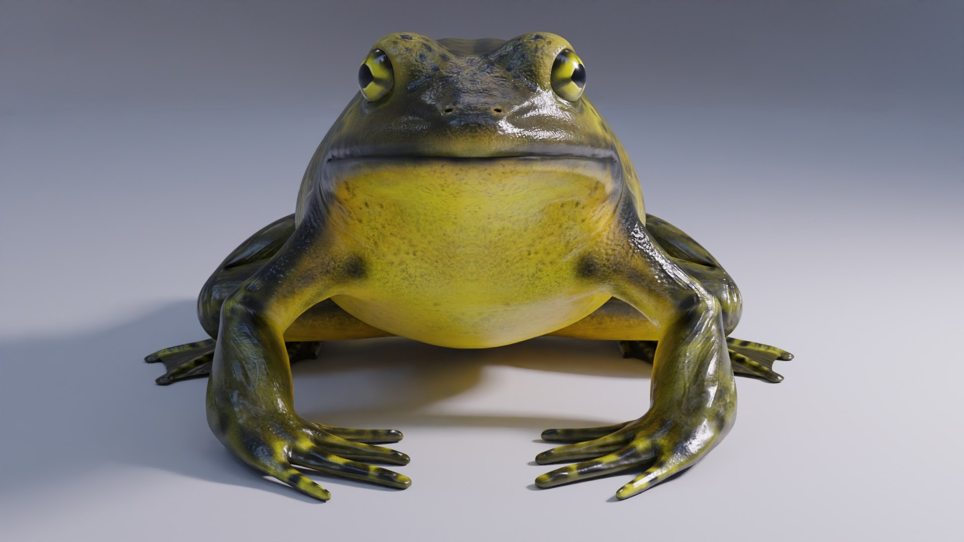 Goliath Bullfrog - Rigged 3D Model - TurboSquid 2031798