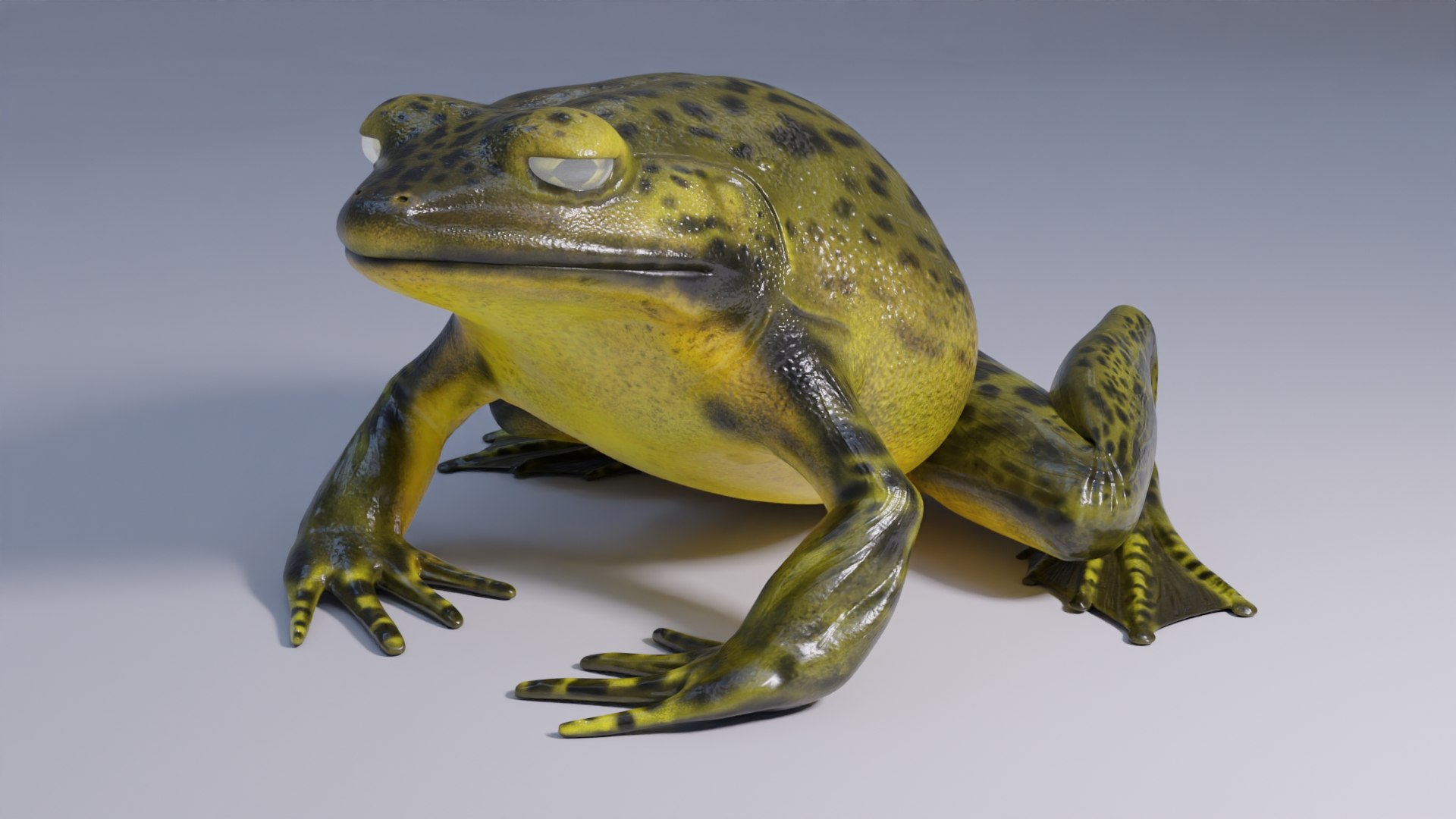 Goliath Bullfrog - Rigged 3D model - TurboSquid 2031798